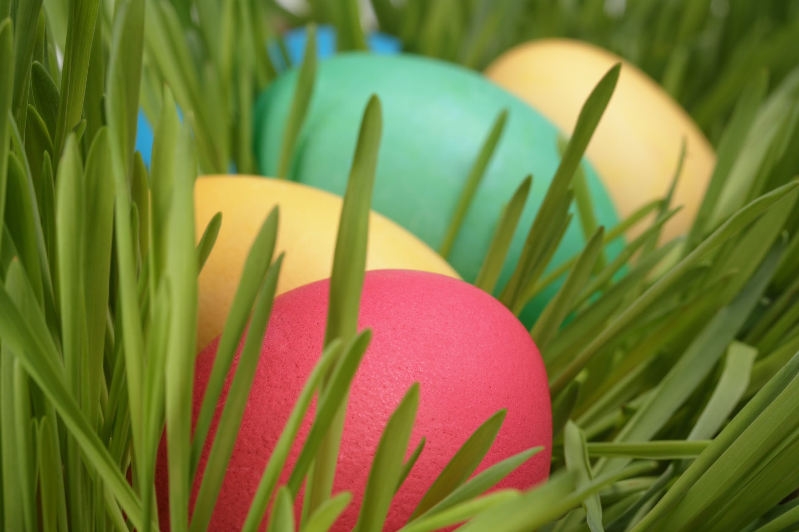 The Easter Egg Hunt meets Cybersecurity! 3 tips for a Cyber Safe Easter